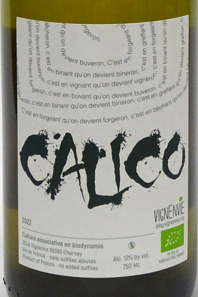 Texier, Eric 2022 Vin de France Vignenvie Calico – Chambers Street Wines